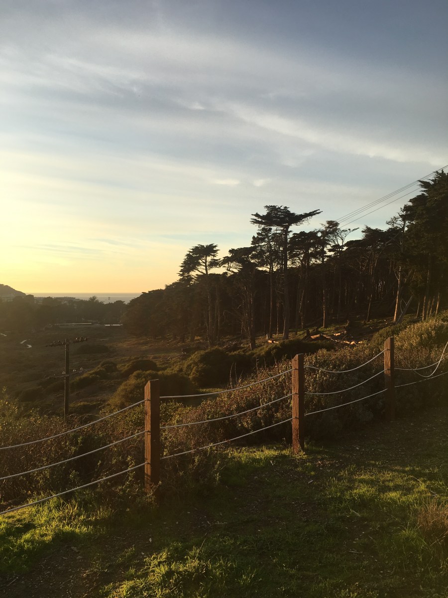 Finding Point Lobos Overlook in San Francisco | Birgit Over 7 Seas